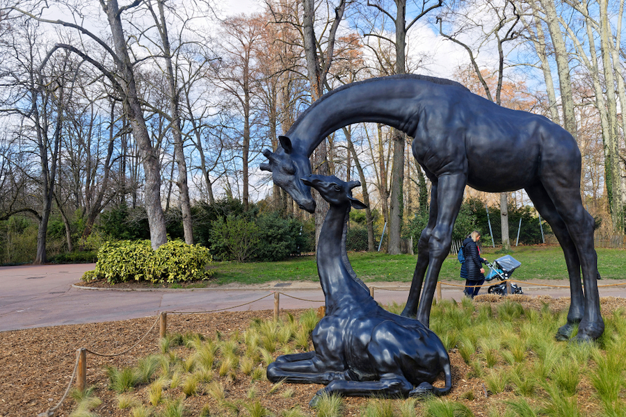 Why is France Obsessed With Giraffes? - Frenchly