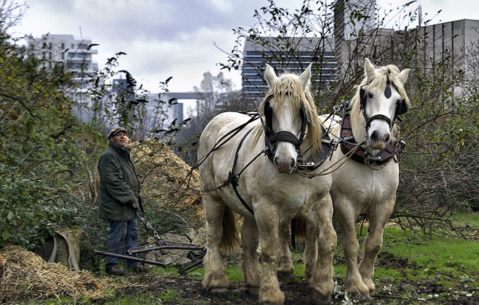 Check Out These Awesome Urban Farms in the Heart of Paris - Frenchly