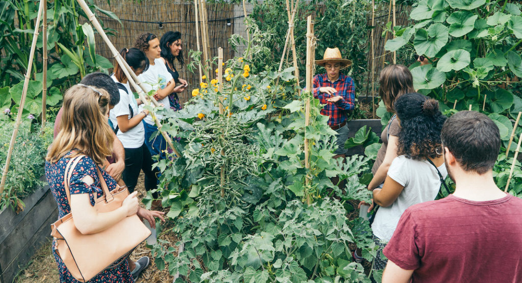 Check Out These Awesome Urban Farms in the Heart of Paris - Frenchly