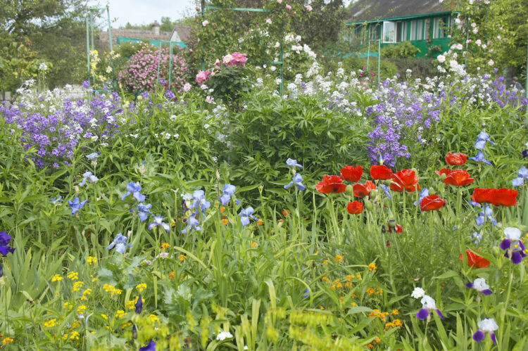 A Guide to Monet's Garden at Giverny - Frenchly