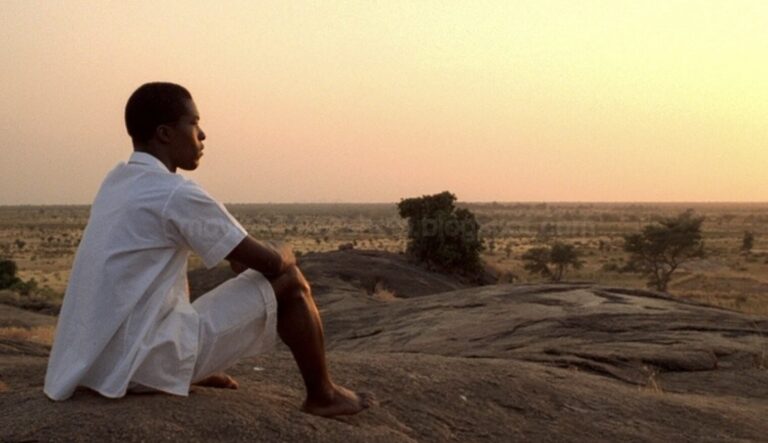 12 Incredible French-Language Films Set in Africa - Frenchly