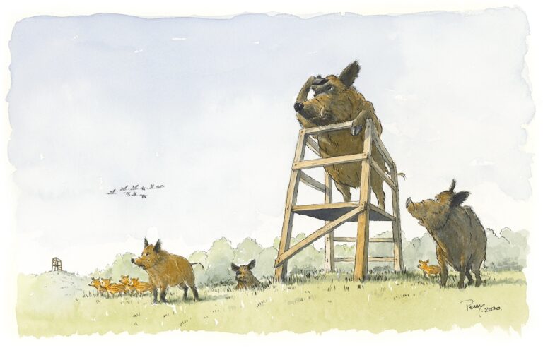 Cartoonist Perry Taylor Captures the Slow Life in Gascony - Frenchly