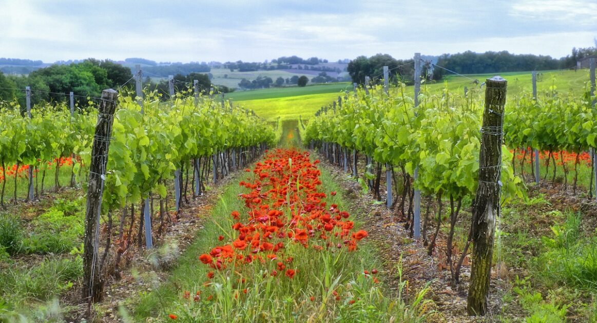 10 Towns in the Vaucluse Worth Visiting - Frenchly