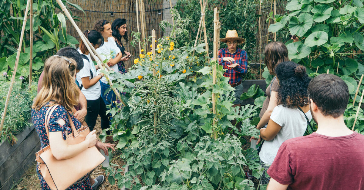 Check Out These Awesome Urban Farms in the Heart of Paris - Frenchly