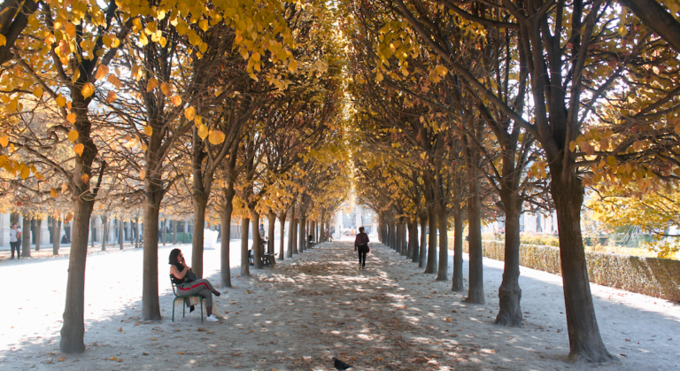 10 Things to Do in Paris in November - Frenchly