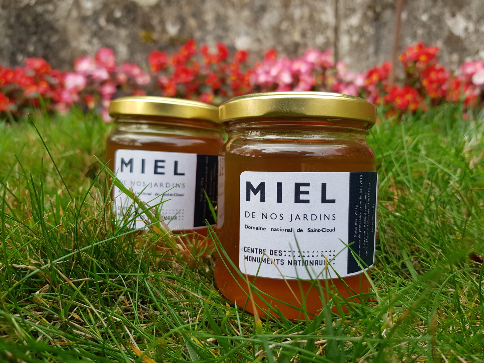 Home is Where the Honeybee Thrives: Beekeeping in France - Frenchly