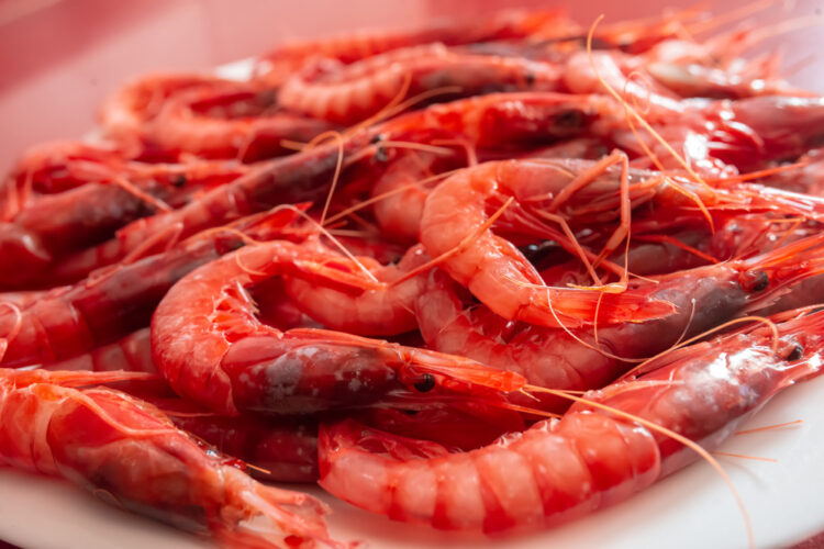10 Seafoods to Know & Order in France - Frenchly
